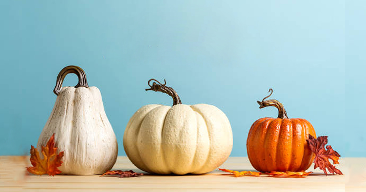 HAPPY THANKSGIVING - Health Centers Closed in Observance - Access ...